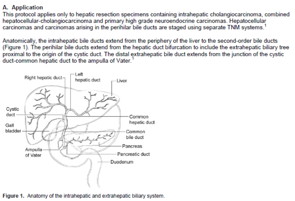 Hematogones.com - Online Pathology / Laboratory tools